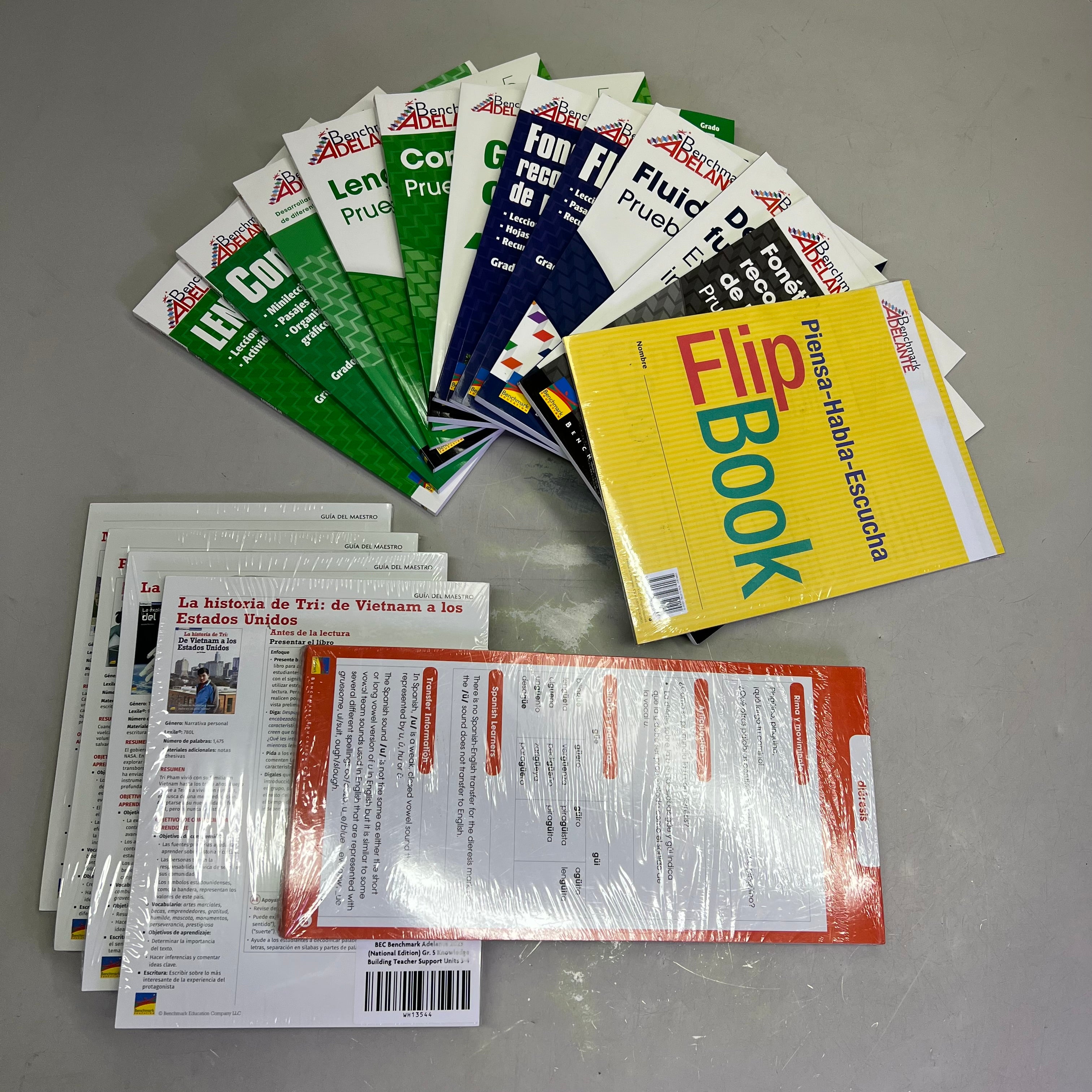 BENCHMARK ADELANTE (17 PACK) Grade K-6 Paperback Learning/Teaching Boo ...