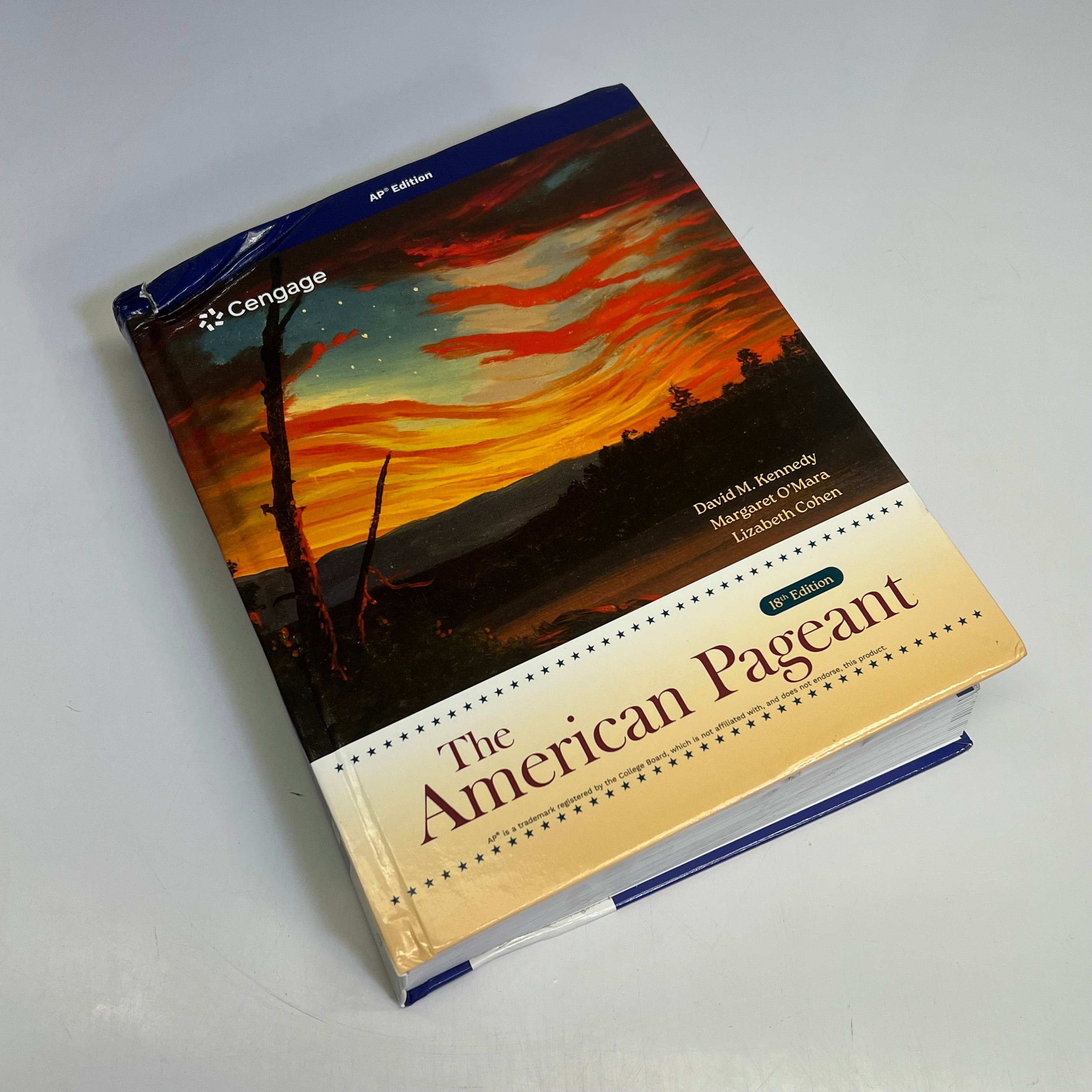 CENGAGE LEARNING The American Pageant 18th Ed Hardback Book AP Ed (Dis ...
