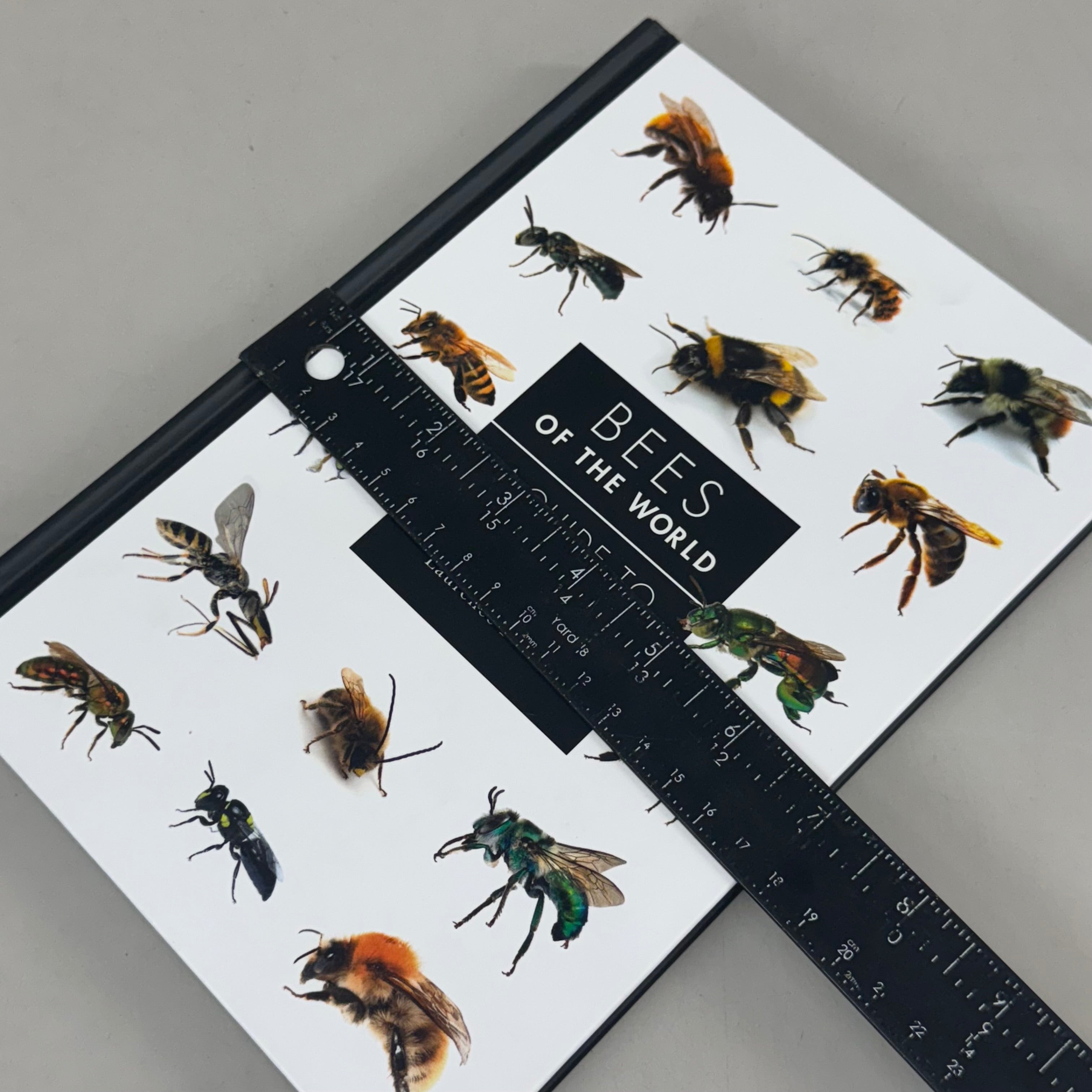 PRINCTON PUBLISHING Laurence Packer; Bees Of The World A Guide To Ever ...